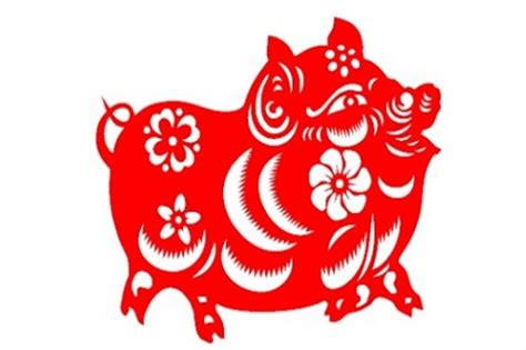 2019年属猪人2023年全年运势详解 4岁生肖猪2023年每月运势 2023年生肖运势 生肖网