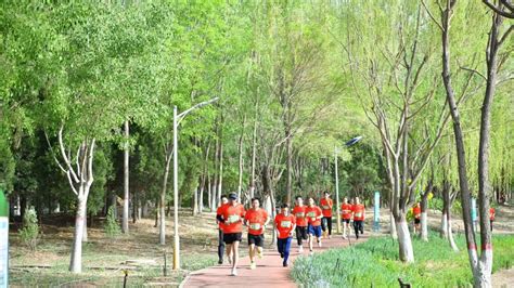 “加快建设黄河流域生态保护和高质量发展先行区”2024宁夏奔跑在行动 旅游焦点 新闻资讯 航空旅游网