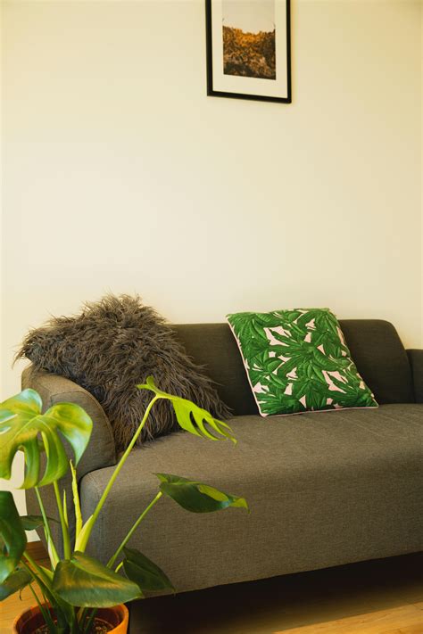 Безкоштовне стокове фото в приміщенні вертикальні постріл внутрішній горщик декор