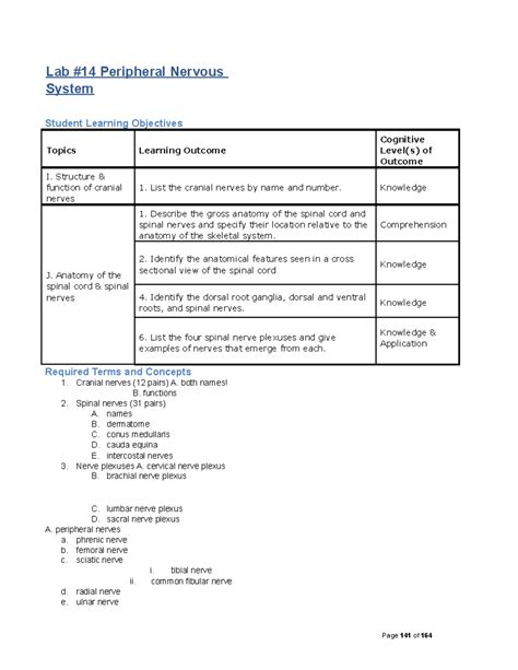 Lab N14 Peripheral Nervous System DN Lab 14 Peripheral Nervous System Babe Learning Studocu