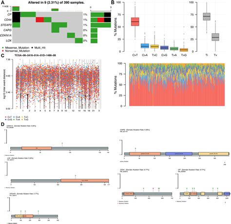 Single Nucleotide Variant Snv Analysis A The Key Genes Are Sorted Download Scientific