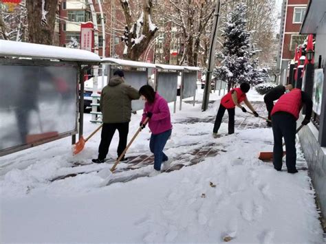 立即行动！房山姐妹齐上阵 扫雪除冰暖人心澎湃号·政务澎湃新闻 The Paper