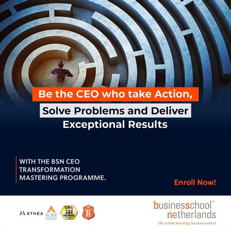 Ceo Transformation Mastering Programme Business School Netherlands