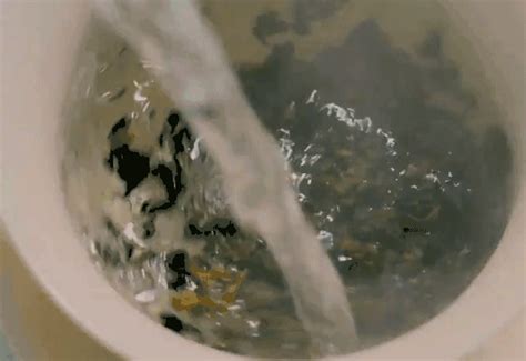 即学即会的5种注水法让你的茶汤更好喝 知乎