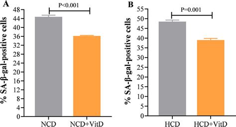 The Effect Of Vitamin D On The Percentage Of Sa β Gal Positive Bm Mscs