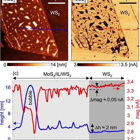 A Morphology Of Mos2ws2 Heterostructure B Corresponding Magnitude