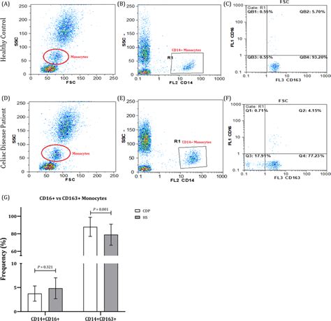 Immunophenotyping Of Cd14 Cd16 Monocytes And Cd14 Cd163 Monocytes