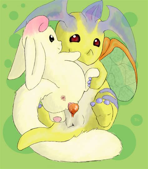 Rule 34 1girls Animal Genitalia Anus Chrono Series Chrono Cross Chu