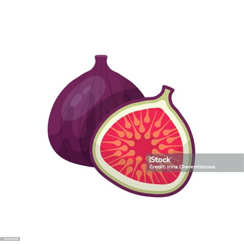 무화과 열대 과일 전체 이국적인 신선한 과일 먹기위한 씨앗 질감으로 반으로 자른 무화과에 대한 스톡 벡터 아트 및 기타 이미지 무화과 벡터 일러스트레이션 Istock