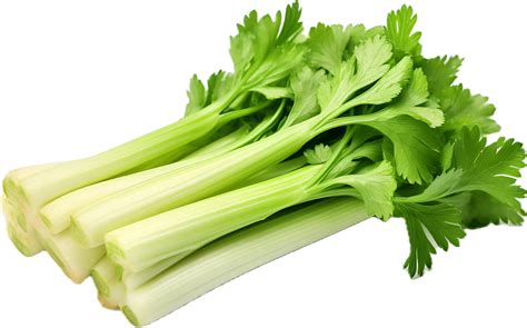 AI Generated Celery Sticks Png 37500533 PNG