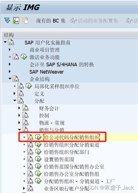 Sap Sd 21给公司代码分配销售组织sap 公司代码 Csdn博客