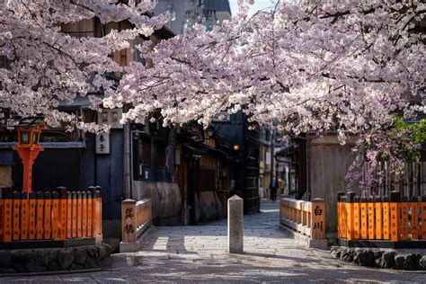 桜の季節がやってきた10 By Mm701 （id：10288745） 写真共有サイトphotohito