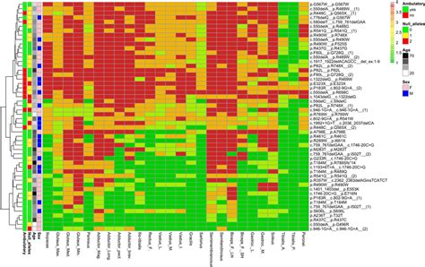hierarchically clustered heatmap of fatty substitution mercuri scores