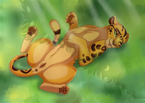 Rule 34 2024 Animal Genitalia Animal Pussy Anus Ass Blep Cheetah