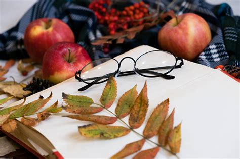 아늑한 겨울 정 뜨거운 커피와 열린된 책의 컵 붉은 완의 오픈도 서 무리와 함께 차 한잔 학교 돌아가기 가가 잎 평면 위치 최고 보기 일요일 휴식과 여전히 생활 개념 0명에