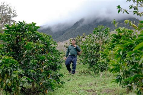 공정무역 아름다운커피 😁😁😁맞춰 보세요 아름다운커피 고객들은 사진만 보고도 맞출 수 Facebook