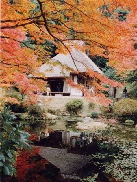 秋の吉水園一般公開 ー 営業時間・場所・地図等の情報 まっぷるトラベルガイド