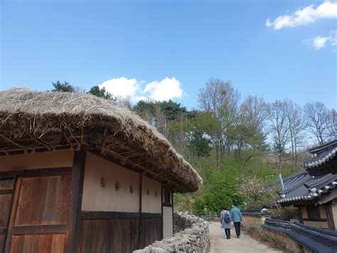 블라인드 여행·먹방 영주 무섬마을and외나무다리 블라인드 여행·먹방 영주 무섬마을and외나무다리