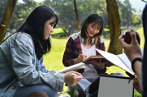 대학 캠퍼스의 푸른 잔디밭에 함께 앉아 그룹 프로젝트를 하고 책을 읽는 학생들 20 24세에 대한 스톡 사진 및 기타 이미지 20 24세 25 29세 걷기 Istock