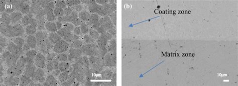Surface And Cross Section Sem Of The Coating A Surface And B Cross