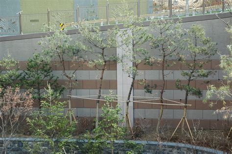 M 501 잔다듬무늬 문양거푸집 전문 미래cns