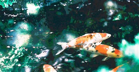 水生生物 水生生物まとめ ひなたのイラスト Pixiv