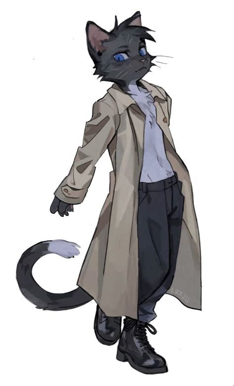Anthro Cat