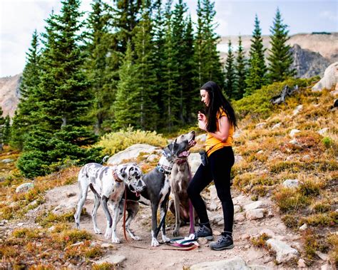 Meet Danielle Hull The Hull Pack Social Media Pet Infulencer