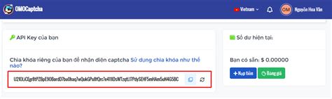 H Ng D N Ng K T I Kho N Api Key Gi I M Capcha