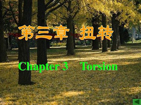 第三章 扭转1 Word文档在线阅读与下载 无忧文档