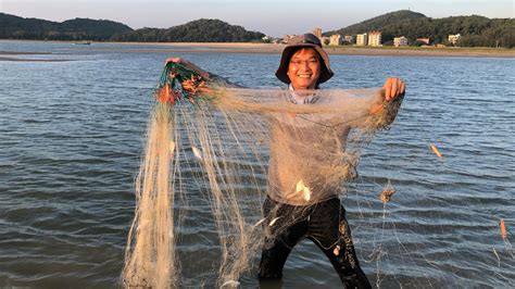 闲牛带了几张长网去海边捕鱼，网一撒下去就有收获，这次有口福了 Youtube