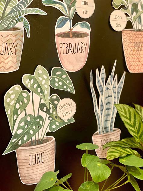 Boho Botany Birthday Display Birthday Chart Plants Themed Classroom