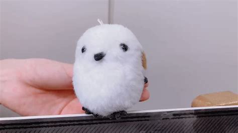 ぼく、シマエナガ。 On Twitter シマエナガ？・・・そんなわけ・・・シマエナガだった（・