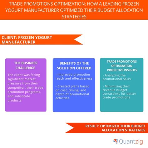Optimizing Budget Allocation Strategies With Trade Promotions Optimization Book A Solution