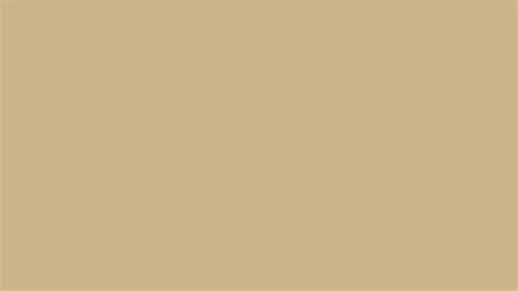 Somber Solid Color Background Image Free Image Generator