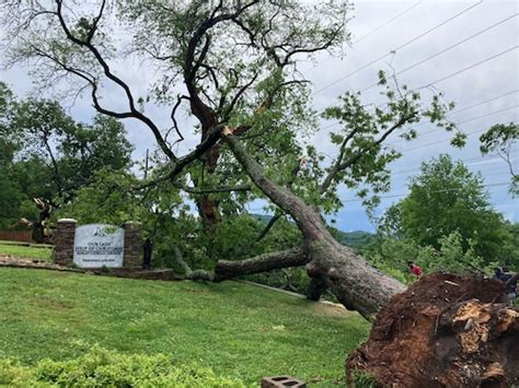 ‘thankful Nobody Was Hurt Huntsville Storms Damage Homes Knock Down