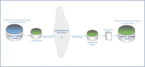 Migrate On Premises Oracle 12c Running In Windows To Aws Ec2 Linux
