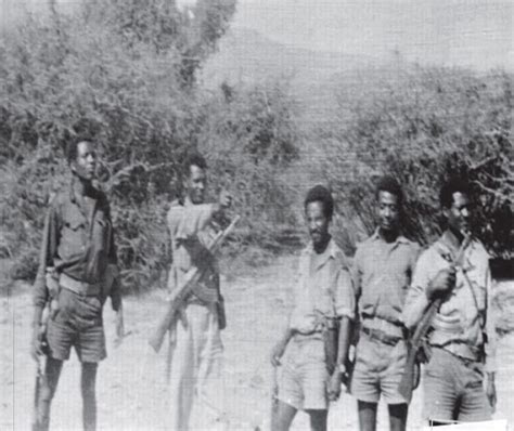 A Glimpse Into The History Of The Dahlak Archipelago Ecss Eritrean