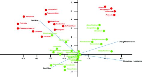 Canonical Correspondence Analysis Of Metagenomic Sequence Data And Download Scientific Diagram