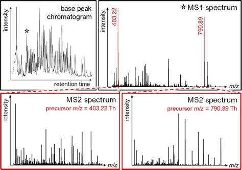 Illustration Of An Ms Msms Experiment Sequence By Data Dependent
