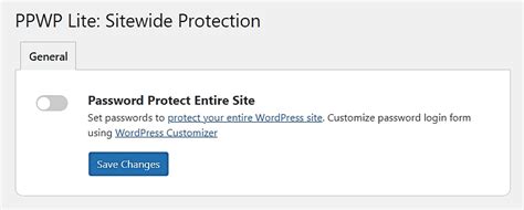 Different Ways To Password Protect WordPress