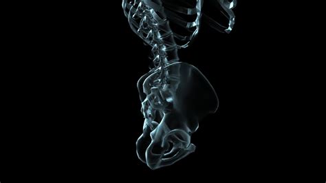 3d Medical Animation Of A Human Skeleton Rotating Showing Lumbar And