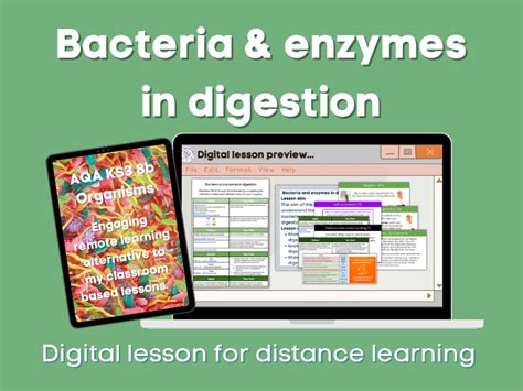 Bacteria And Enzymes In Digestion Distance Learning Teaching Resources