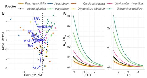 A Principal Components Analysis For Root Morphological Traits Of 80 Download Scientific