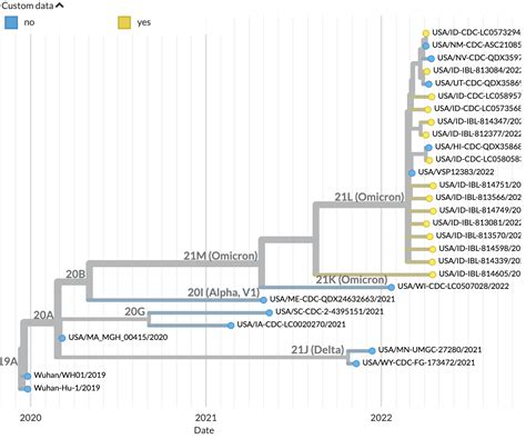 Run Using A Genomic Surveillance Configuration SARS CoV Workflow Documentation