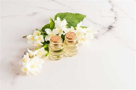 하얀 재스민 꽃의 배경에 향기로운 천연 재스민 오일이 달린 코르크 뚜껑이있는 두 개의 유리 병 대리석 배경 복사 공간 건강관리와