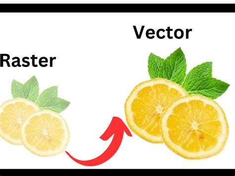 raster to vector vector tracing vector illustration vector art vector