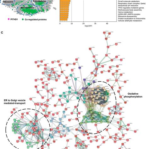 Example Workflow For Precision Medicine Multi Omics Data Are Initially