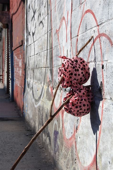 Start The Adventure — Bindle Bros