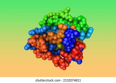 1 409 Protein Bind Images Stock Photos Vectors Shutterstock